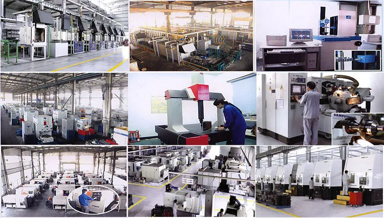 China Custom Flexible Couplings Manufacturer - Raydafon Group